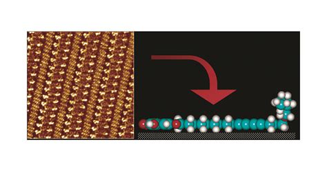 Losing The Expression Of Molecular Chirality In Self Assembled Physisorbed Monolayers Nano Letters