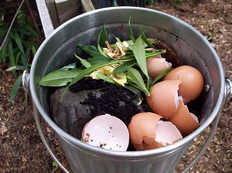 Composting 101 The Beginner’s Guide To Taking Your Garden To The Next Level Composting 101 The Beginner’s Guide To Taking Your Garden To The Next Level