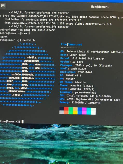 External Monitor Blinks Rfedora