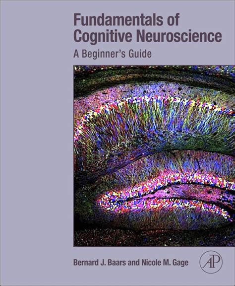 Fundamentals Of Cognitive Neuroscience Premiumjs Store