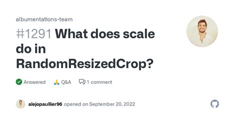What Does Scale Do In Randomresizedcrop · Albumentations Team