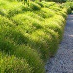 Funny Planting Memes Meme Generator Imgflip