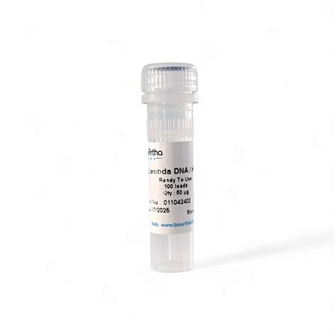 Dna Ladder Dna Marker Latest Price Manufacturers And Suppliers Dna Ladder Dna Marker Latest Price Manufacturers And Suppliers