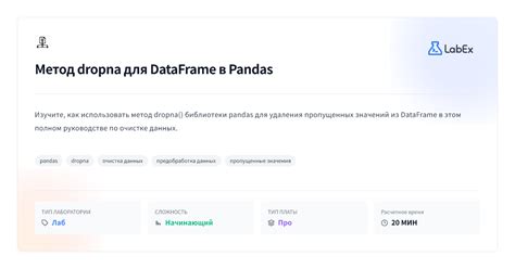 Dropna для Dataframe в Pandas Руководство по очистке данных Labex