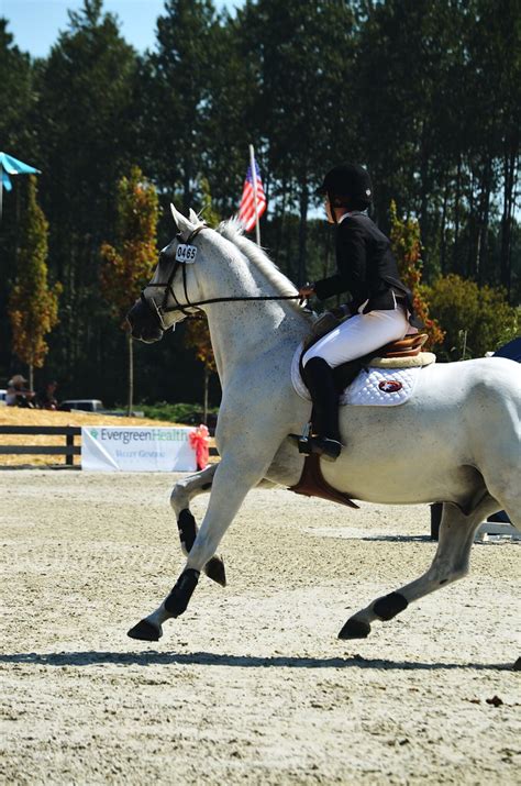 Dsc 0628 Emily Eckhardt Photography Flickr