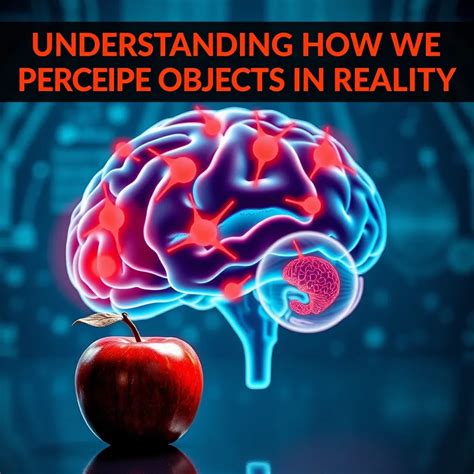 Understanding How We Perceive Objects In Reality Mysterylores