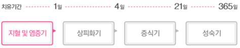 울쎄라 슈링크 하지 말아야 할 이유 심한 부작용 케이스와 화상치료방법 네이버 블로그