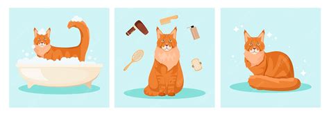 O Gato Está Lavando No Banheiro Um Conjunto De Ilustrações Grooming