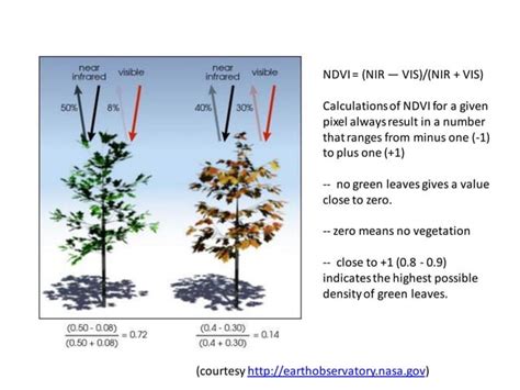 Normalized Difference Vegetation Index Ndvi Pdf