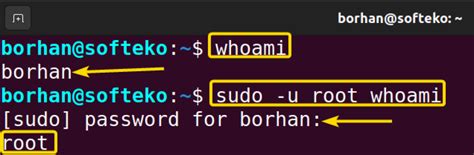 The “sudo” Command In Linux 8 Practical Examples Linuxsimply