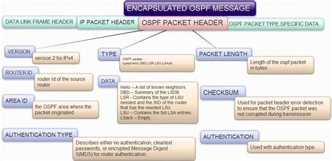Structure Of The OSPF Packet Network Study