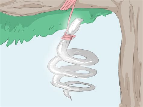 How To Protect Your Cherry Trees From Birds 5 Steps