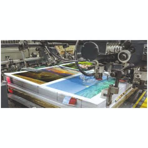 Multicolour Offset Printing At ₹ 10 Page In Indore Id 2850821163291