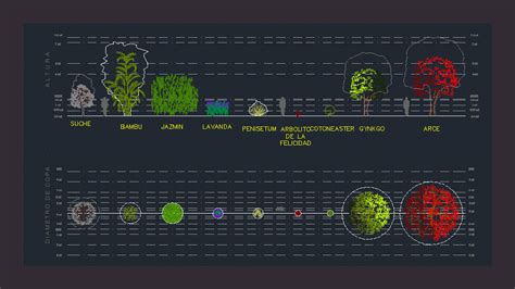 Trees And Shrubs 2D DWG Detail For AutoCAD Designs CAD
