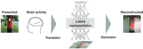 논문 리뷰 Visual Image Reconstruction From Brain Activity Via Latent Representation