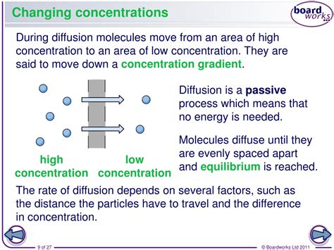 PPT Diffusion Process In Life Activities PowerPoint Presentation Free Download ID