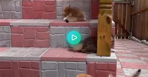 Each One Has Its Own Thing Going On Album On Imgur