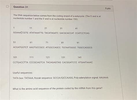Solved The DNA Sequence Below Comes From The Coding Strand Chegg