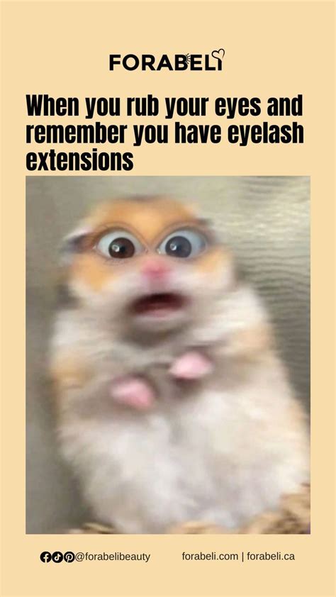 Lash Meme Forabeli Eyelash Extensions Eyelash Extension Supplies