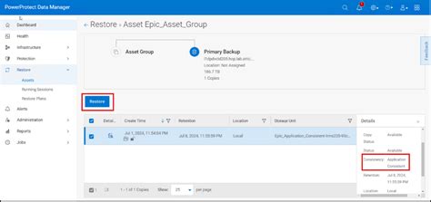 recovering the epic application storage groups with data manager
