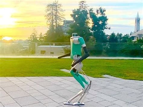 trained using reinforcement learning in simulation this bipedal robot can adapt to any terrain