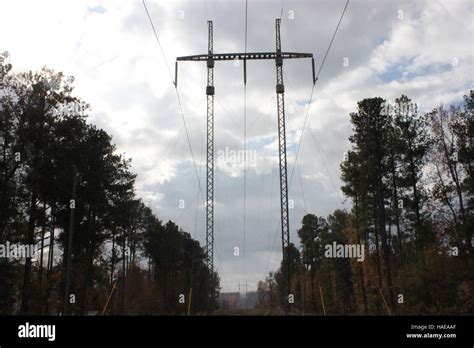 Power Lines In Between Trees Stock Photo Alamy