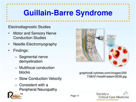 Ppt Program Information Powerpoint Presentation Free Download Id