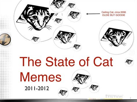 Cat Memes 2011 2012 Key