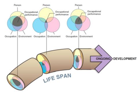 Theory Exam 1 Peo Model Flashcards Quizlet
