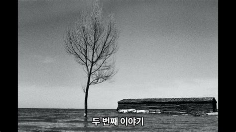 지혜로운 사람 현명한 사람 좋은 사람으로 변화 시키는 탈무드이야기16 첫번째 닭의 유죄 두번째 거미와 모기 세번째 향료 Youtube