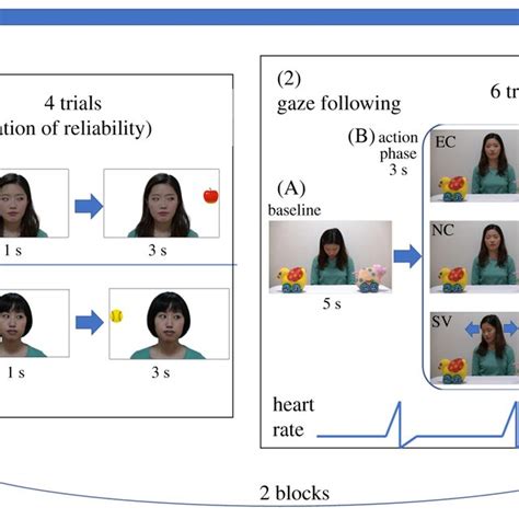 Structure Of The Experiment 1 Illustration Of The Gaze Cueing Download Scientific Diagram
