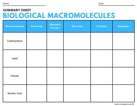 Biological Macromolecules Summary Sheet Biology Sl Macromolecule