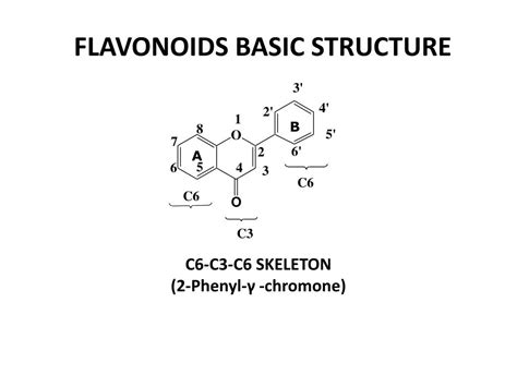 Flavonoids Basic Structure At Hayley Pell Blog