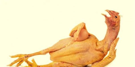 How To Make Love To A Chicken Yourtango