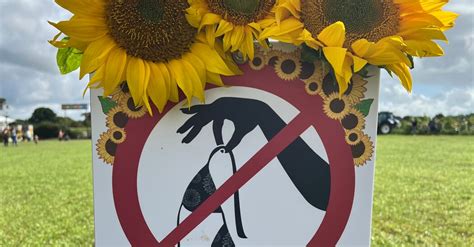 Keep Your Clothes On Sunflower Farm Warns Guests New Edge Times