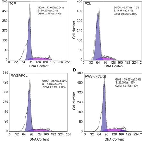 Results Of Cell Cycle Analysis On Various Substrata Download Table