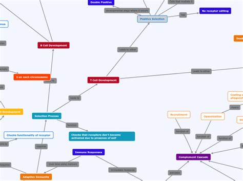 Immunology Concept Map Mindomo Mind Map