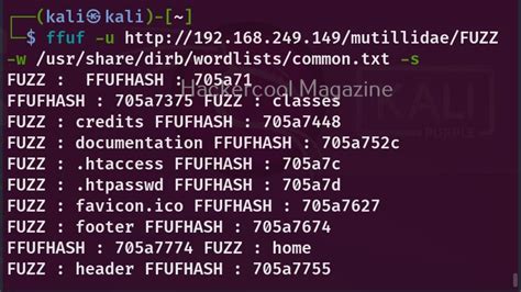 Beginners Guide To Ffuf Tool Hackercool Magazine