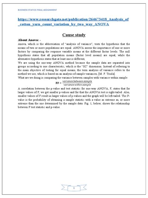 Bs Final Assignment Pdf