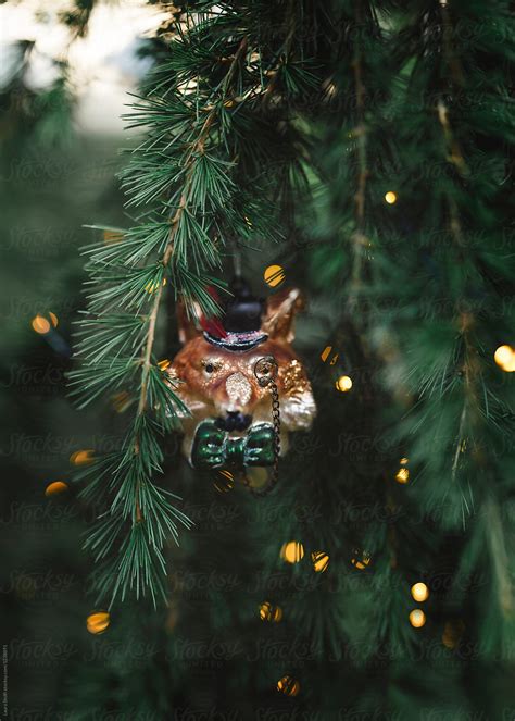 Stylish Glass Ornament And Twinking Lights On Tree By Stocksy Contributor Laura Stolfi Stocksy
