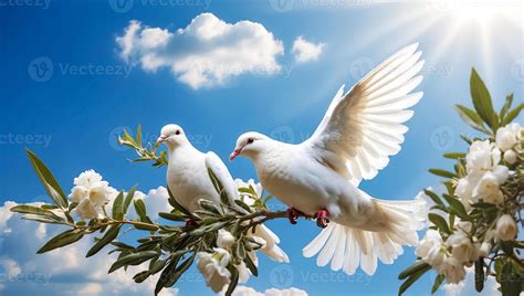 Cielo Con Palomas Imágenes Fotos Y Fondos De Pantalla Para Descargar