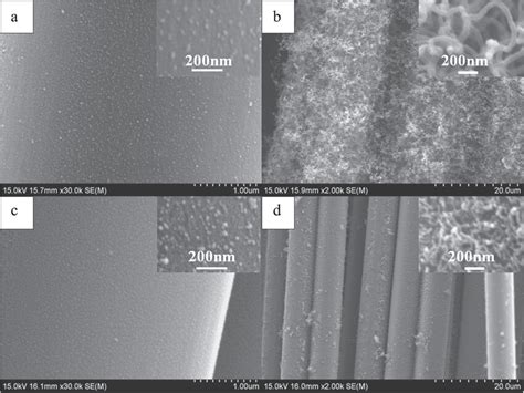 sem micrographs of different catalyst particles deposited on carbon