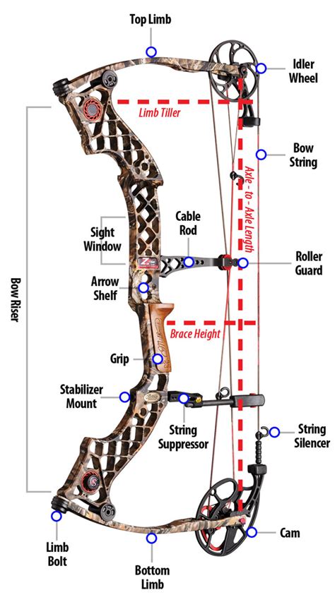 Compound Bow Diagram
