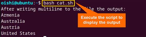 How To Echo Multiline To A File In Bash 3 Methods LinuxSimply