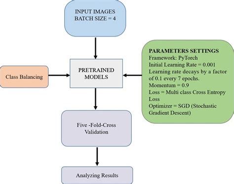 flowchart summarizing the experiment download scientific diagram