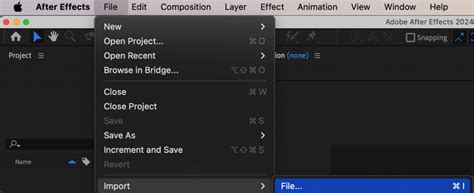 How To Import Into After Effects Aejuice