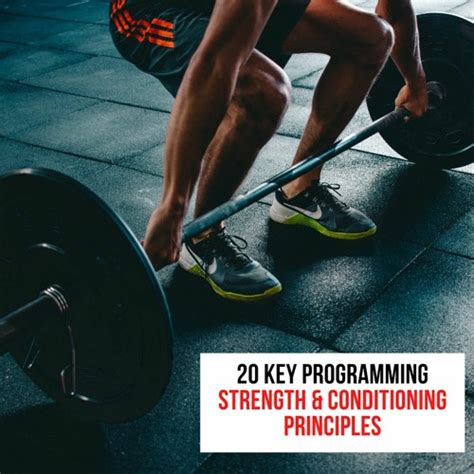 Stream Episode 59 My Top Programming Principles By Plplivechats Podcast Podcast Listen