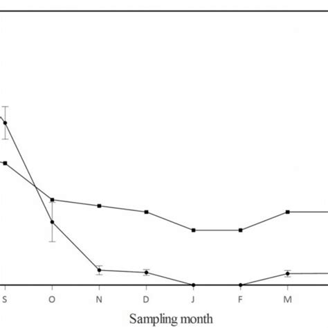 Morphology Of Microalgae C Veronica Sp Nov Isolated From A Download Scientific Diagram