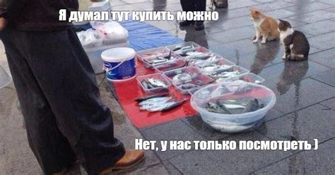 Комикс мем Я думал тут купить можно Нет у нас только посмотреть Комиксы Meme