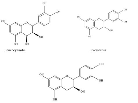 Structure Of Predominant Phytochemicals Found In Litchi Source